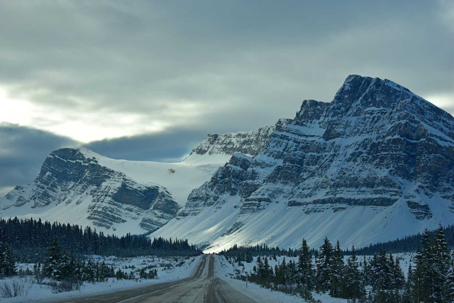 Banff Mountain Landscapes - The Art of Brandy Saturley